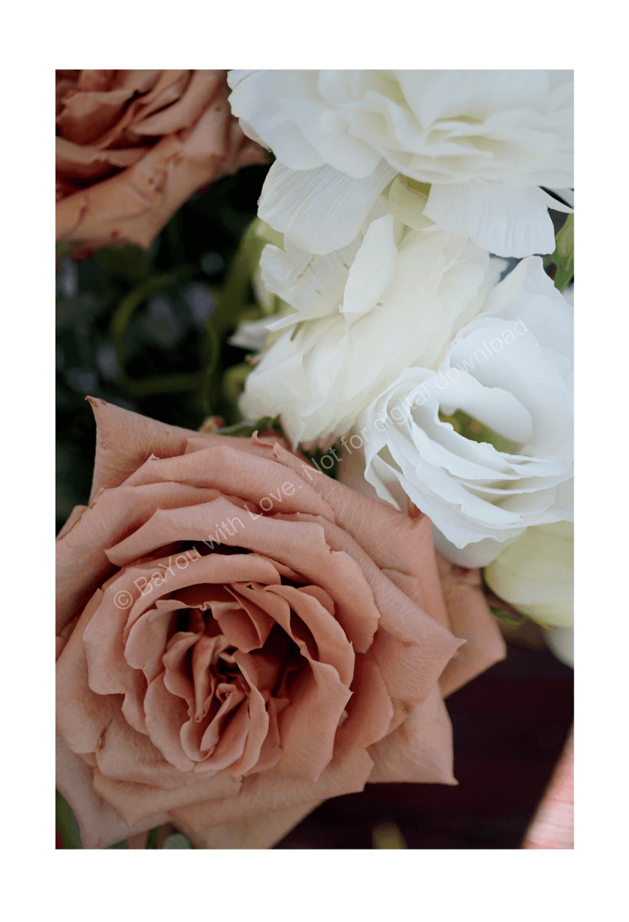 Portrait Postcard Set – Bayou with Love
